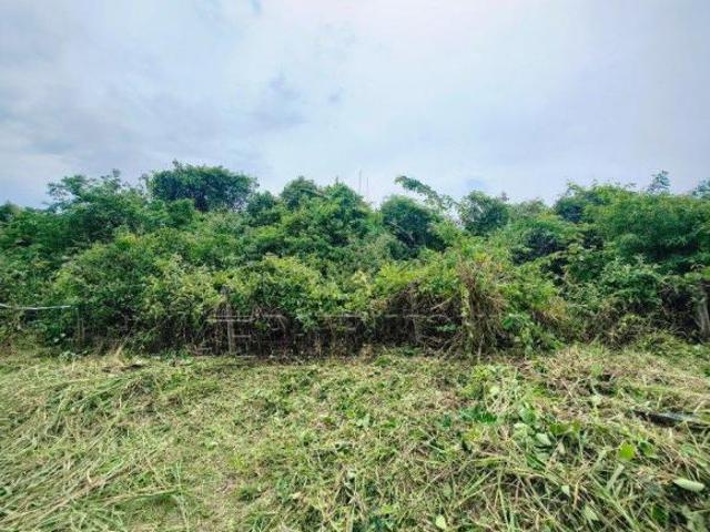 AREA COM 44.875,85M² EDEN