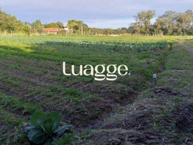 Área com 4,695 hectares à venda, Av. do Lami Belem Novo