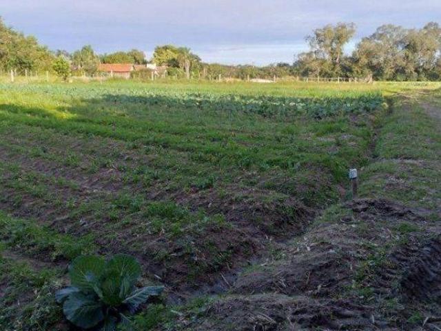 Área com 4,695 hectares à venda, Av. do Lami Belem Novo
