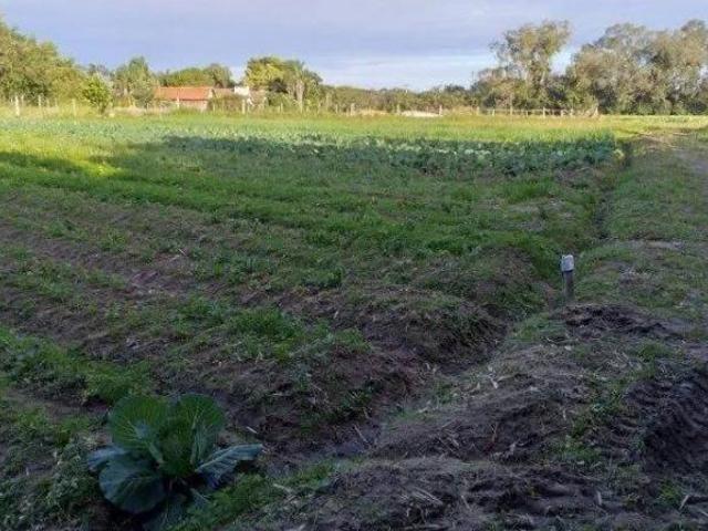 Área com 4,722 hectares, Av. do Lami Belem Novo