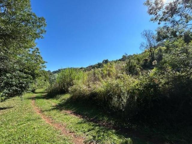 Área Com 4.7 Ha e Linda Vista