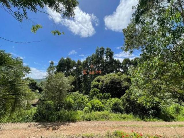 ÁREA COM 50.000 m² PLANTADO COM EUCALIPTO