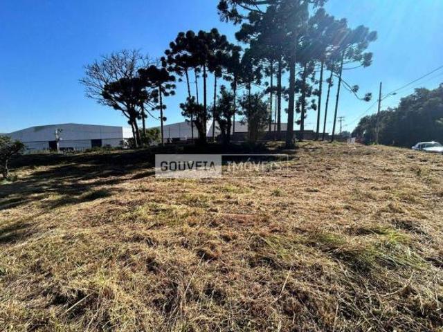 Terreno, 51000M², à Venda por R$ 15.500.000,00 Arujá, São José dos Pinhais Pr