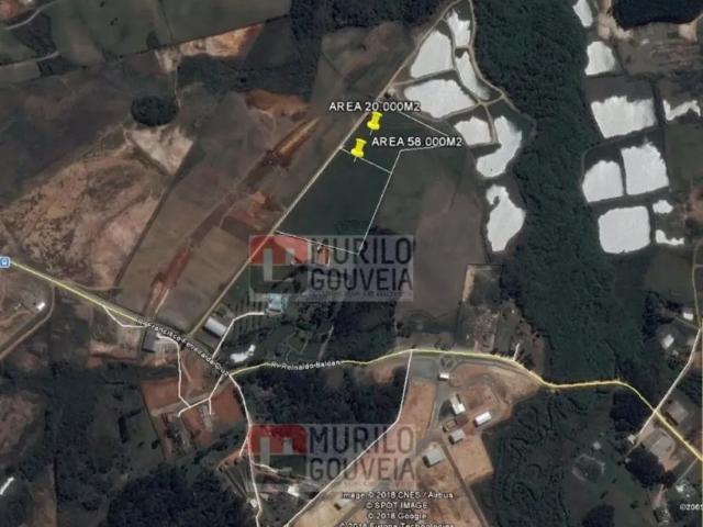 Área com 58.000 m², à venda por R$ 14.000.000 Eucaliptos, Fazenda Rio Grande PR