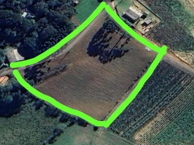 Área com 6050m², sem benfeitorias