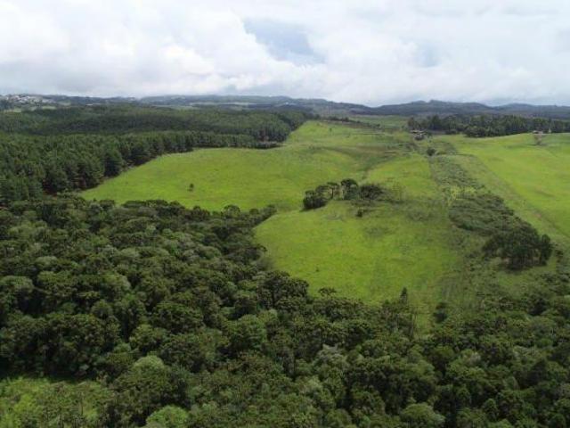 Área com 6,8 hectares, perto do centro de São Chico!