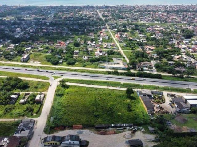 ÁREA COM 9.071M² DE FRENTE PARA RODOVIA PADRE MANOEL DE NÓBREGA
