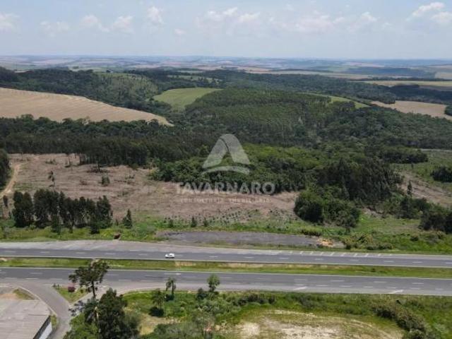 Área com 9,11 alqueires