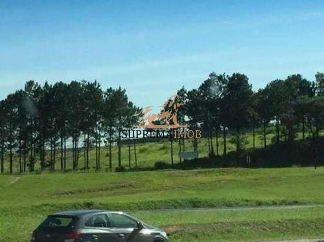 Área com 10.900 m² á venda ou alugar na Rodovia Castelo Branco