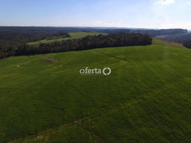 Área com 10 alqueires em Antônio Olinto