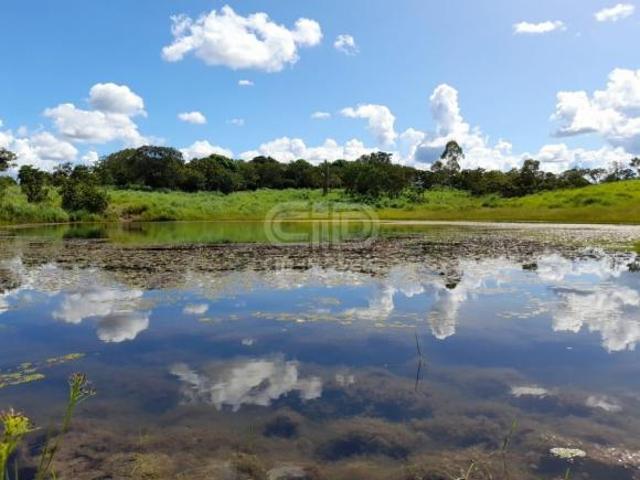 Área com 181 hectares
