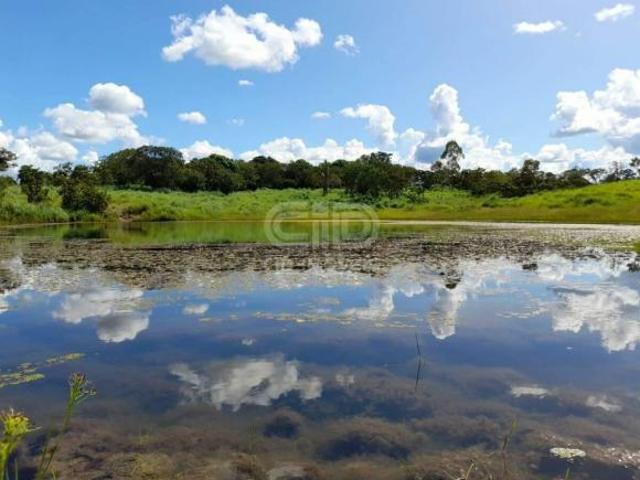 Área com 181 hectares