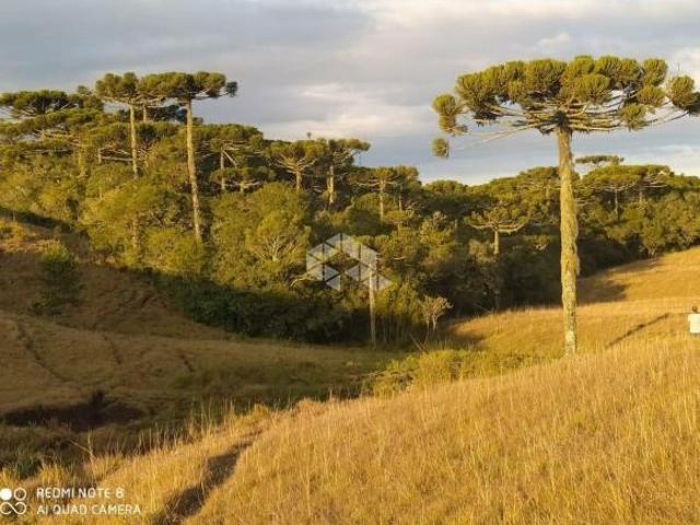 Área com 18 ha de terras de campos, matos e lavoura a 2,5 km do centro da cidade de São Francisco de