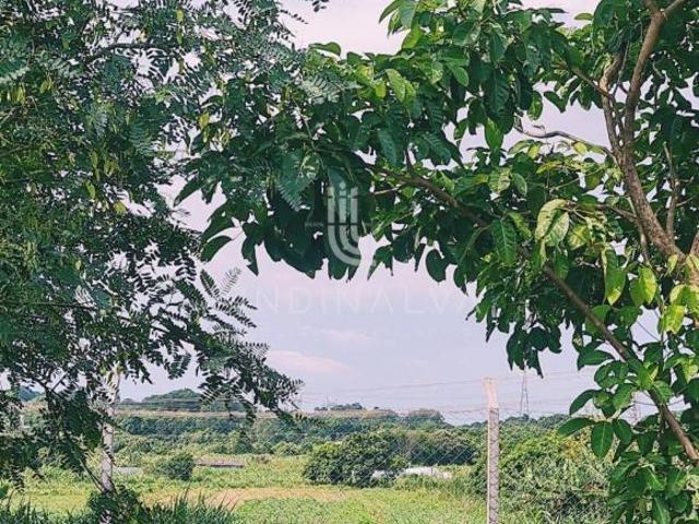 Área com 24000m2 frente a faculdade unioeste de Foz do Iguaçu