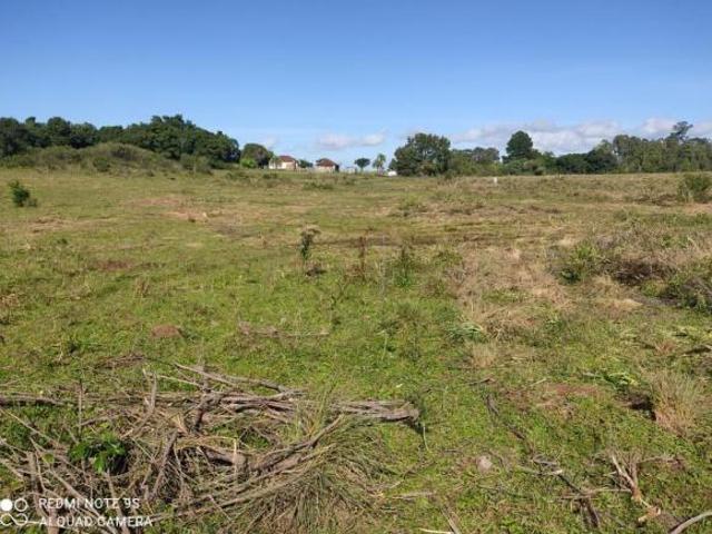 Área com 2 hectares