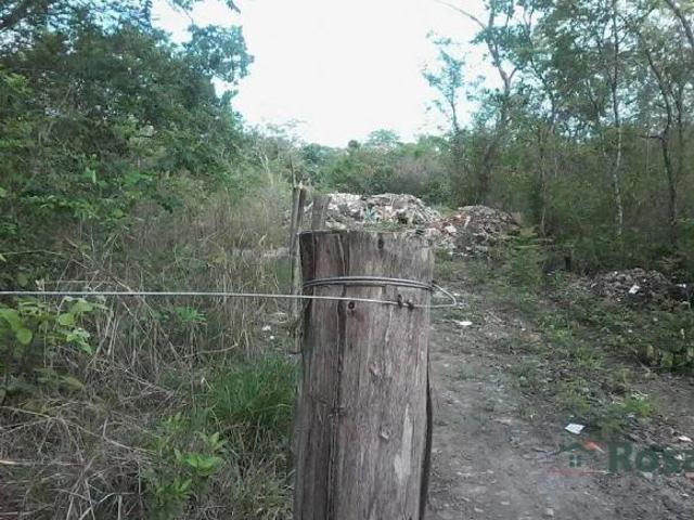 Área com 30.000m² RECANTO PAIAGUAS, Cuiabá
