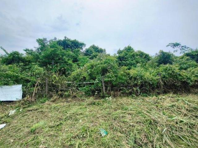 AREA COM 32.837,32M² EDEN