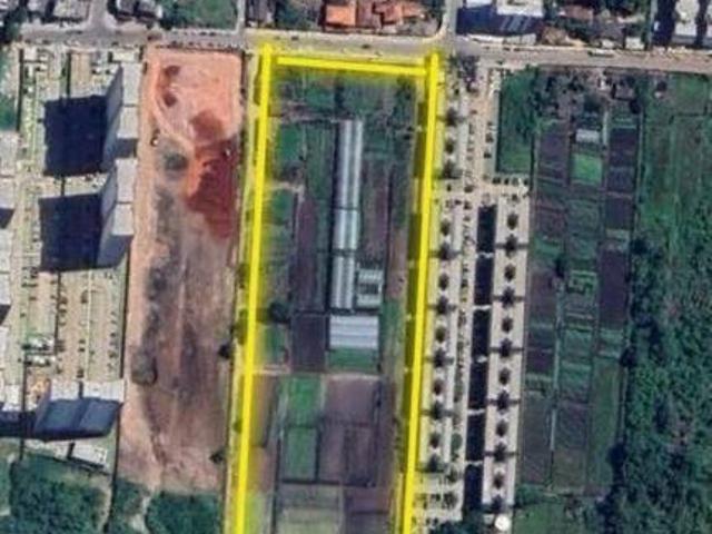 Área com 35.909,70 m² à venda Vila Nova Bonsucesso Guarulhos/SP