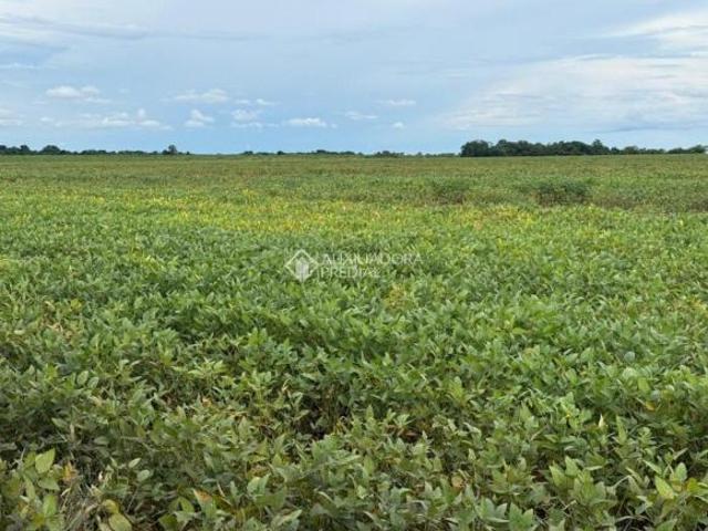 Área com 3.000 Hectares à Venda, Zona Rural, Canarana, Mato Grosso