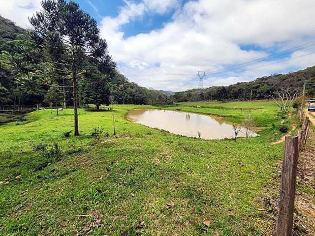 Área com água em abundância para formar sítio, 20km do centro de Piracaia