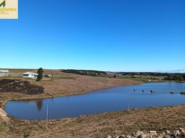 Área com estufa de Morangos!