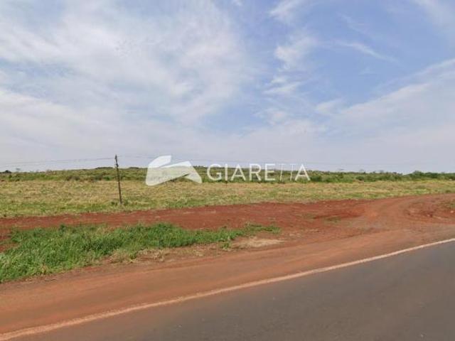 Área com localização estratégica, para barracões plantio, a venda na BR 163, TOLEDO PR