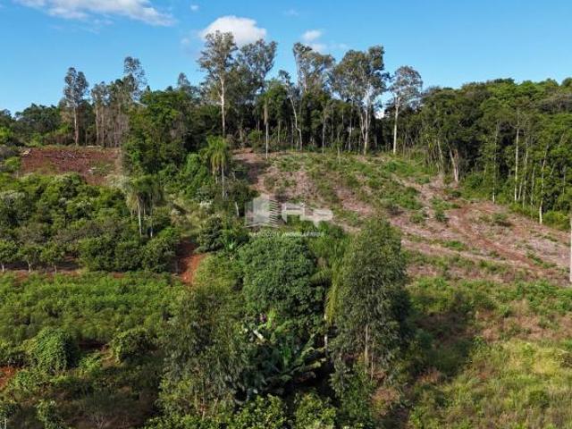 ÁREA COM MAIS DE 6 MIL M² EM ALTO FELIZ