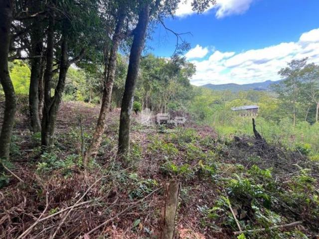 ÁREA COM QUASE MEIO HECTARE NO SÃO ROQUE