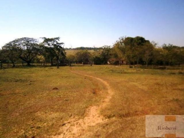 Área comercial à venda, Jardim Felicidade, São José do Rio Preto
