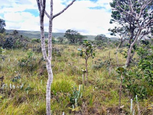 ÁREA COMERCIAL, IDEAL PARA CONDOMÍNIO, EXPANSÃO URBANA DE ALTO PARAÍSO