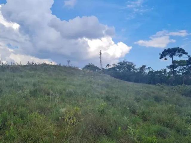 Área de alto padrão à venda em Campos de Jordão SP