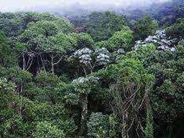 Área de Compensação e Preservação Bioma Mata Atlântica CETESB