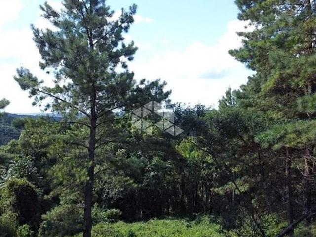 Área de investimento na Principal Avenida de Gramado e Canela