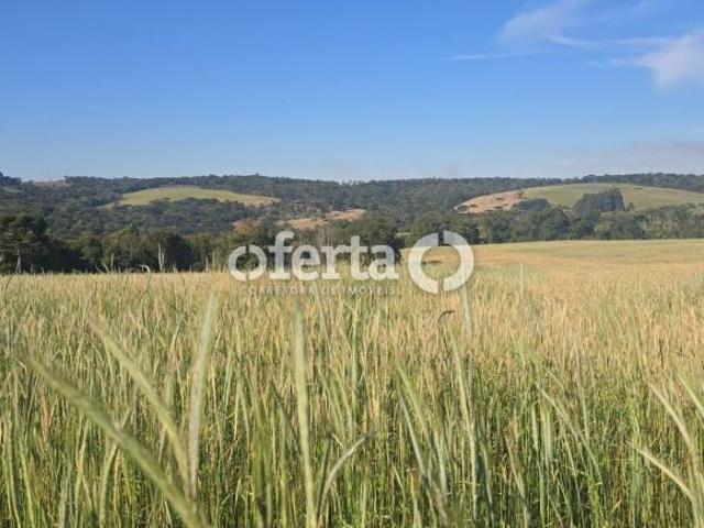 Área de planta na Lapa / Mato Preto