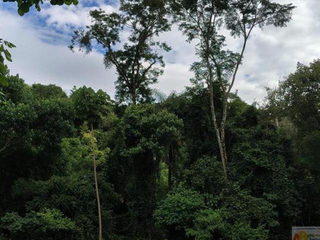 Área de Preservação Ambiental para Venda em Ibitiúra de Minas, Afonso Pena