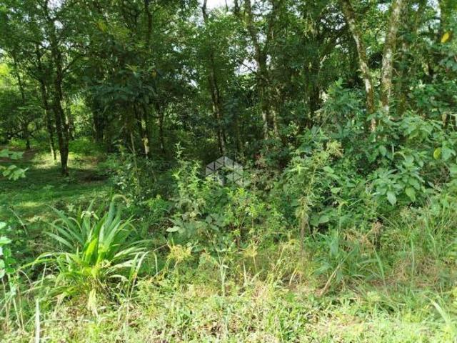 Área de terra na linha Pirajá em Nova Petrópolis