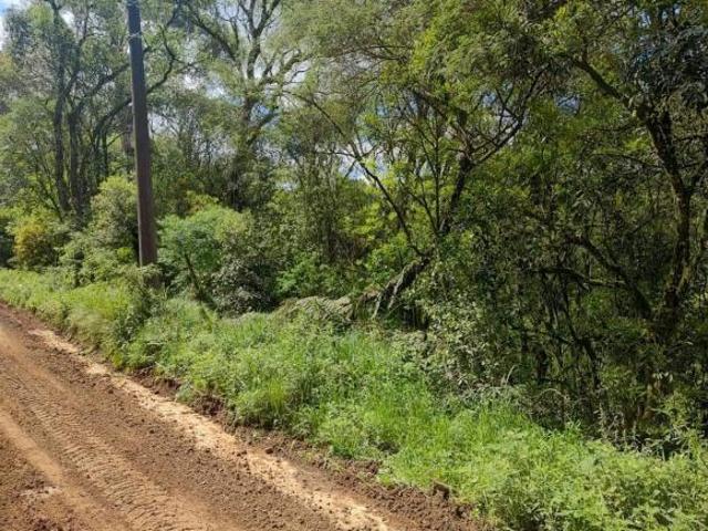 Área de terra à venda,em Ana Rech, Caxias do Sul, RS