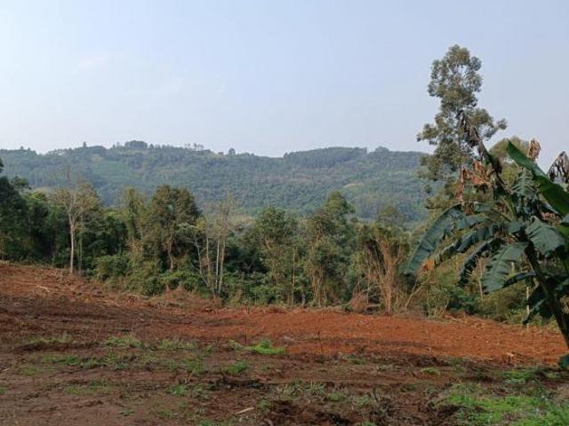 Área de terra a venda em Nova Petrópolis.RS