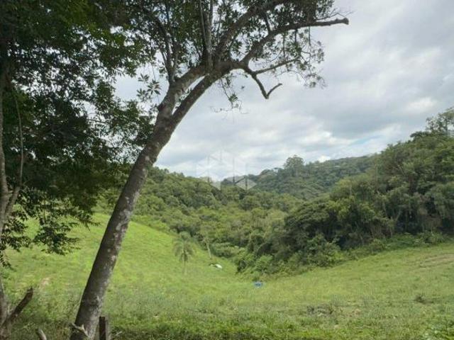 ÁREA DE TERRA AMPLA E VERSÁTIL EM CARLOS BARBOSA