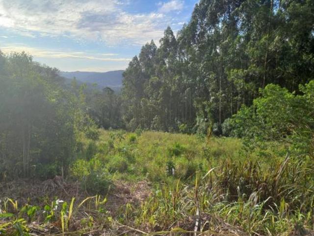 Área de terra bairro Jammerthal, Picada Café.RS