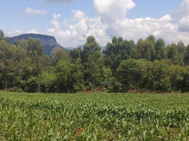Área de terra bairro Linha Gonçalves Dias, Nova Petrópolis.RS