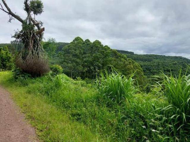 Área de terra bairro Scheiblin, Linha Nova.RS
