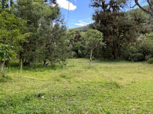Area de Terra Bairro Salto