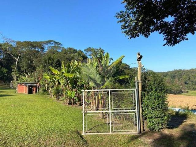 Área de Terra com 5 quartos à venda em Vila aparecida SP