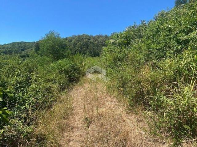 Área de terra com 7ha em Gramado, a 8 minutos do Centro