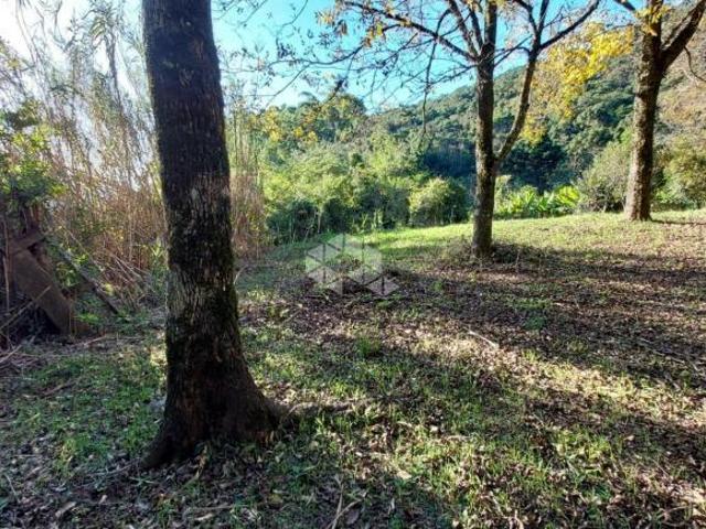Área de terra com 13 hás com aproveitamento de 65 % aproximado