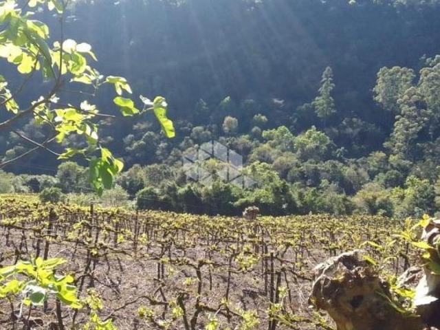 Área de terra com 140.000m² em Santa Tereza
