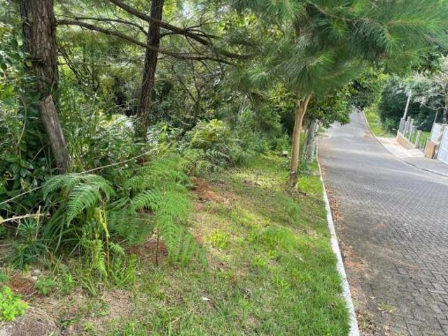 Área de terra em Gramado
