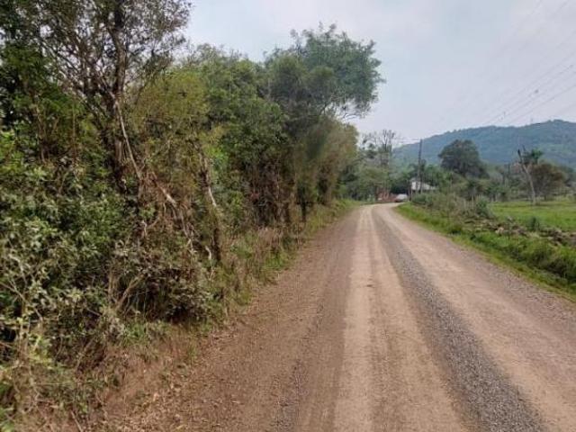 Área de terra Linha Araripe, Nova Petrópolis.RS