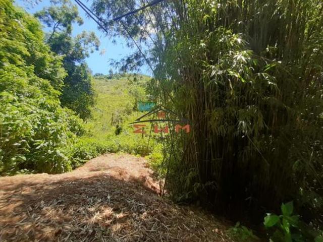 Área de terra próximo a Nova Milano